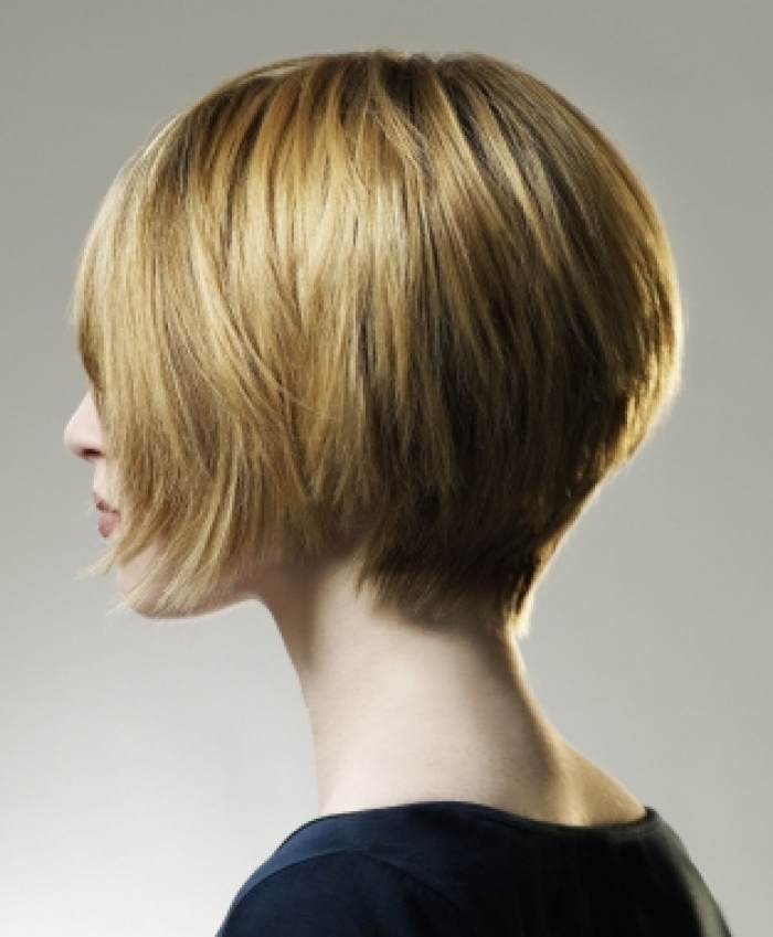 Short Layered Haircut Back View